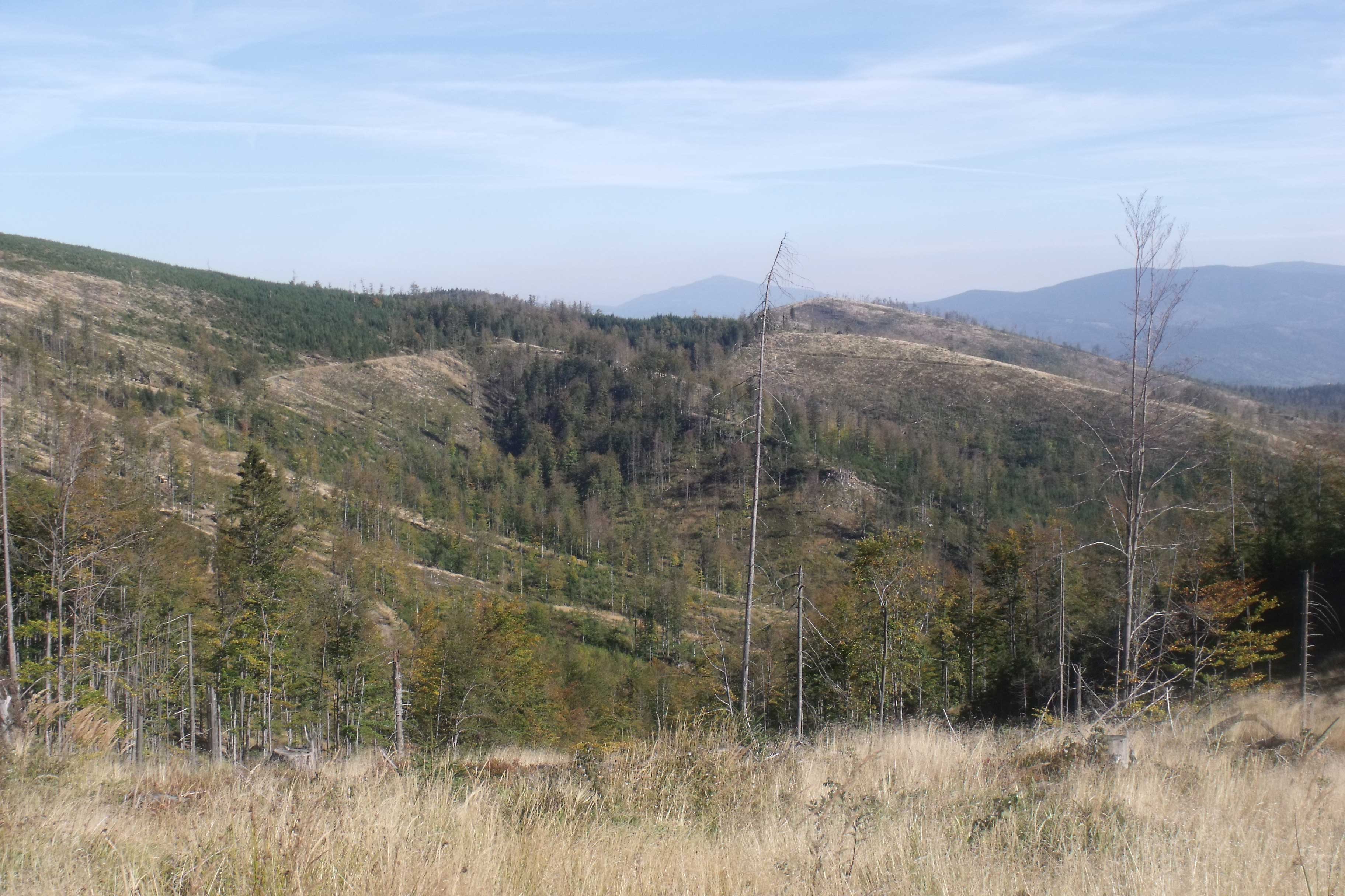 WHAT DO THE ARCHIVAL MAPS NOT SAY ABOUT FORESTS IN THE SILESIAN BESKIDS ...